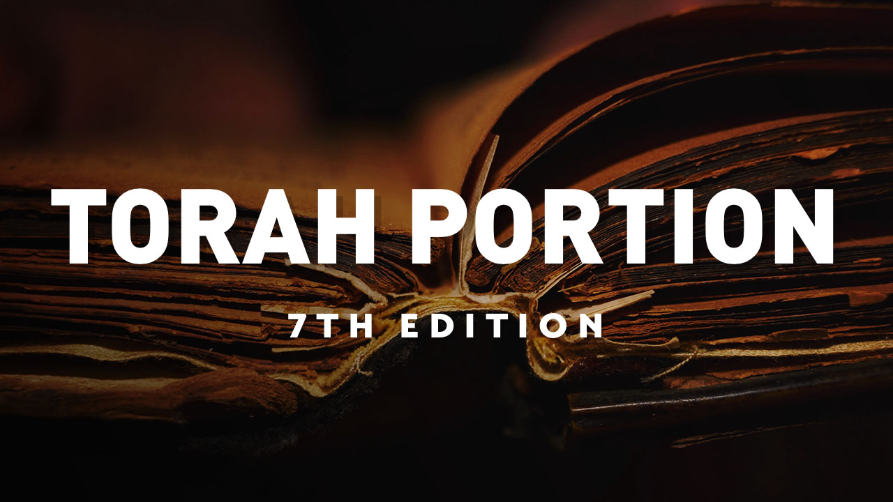 Torah Portion 7th Edition Archives - Torah to the Tribes